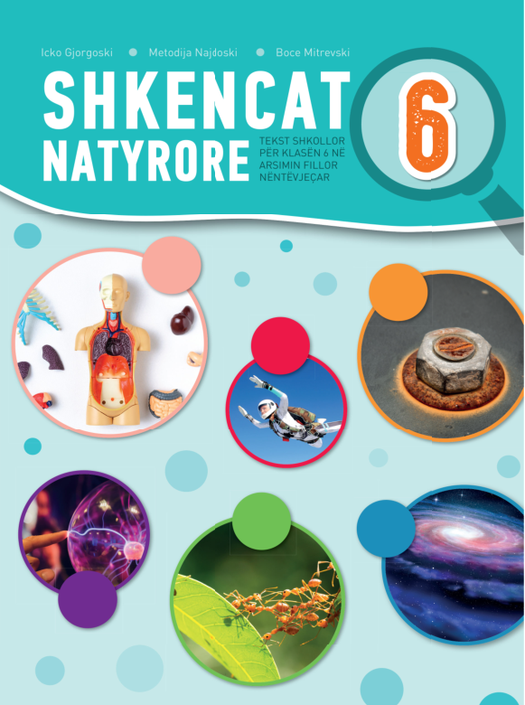 SHKENCAT NATYRORE 6